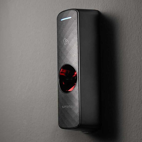 BioEntry P2 – Markovations