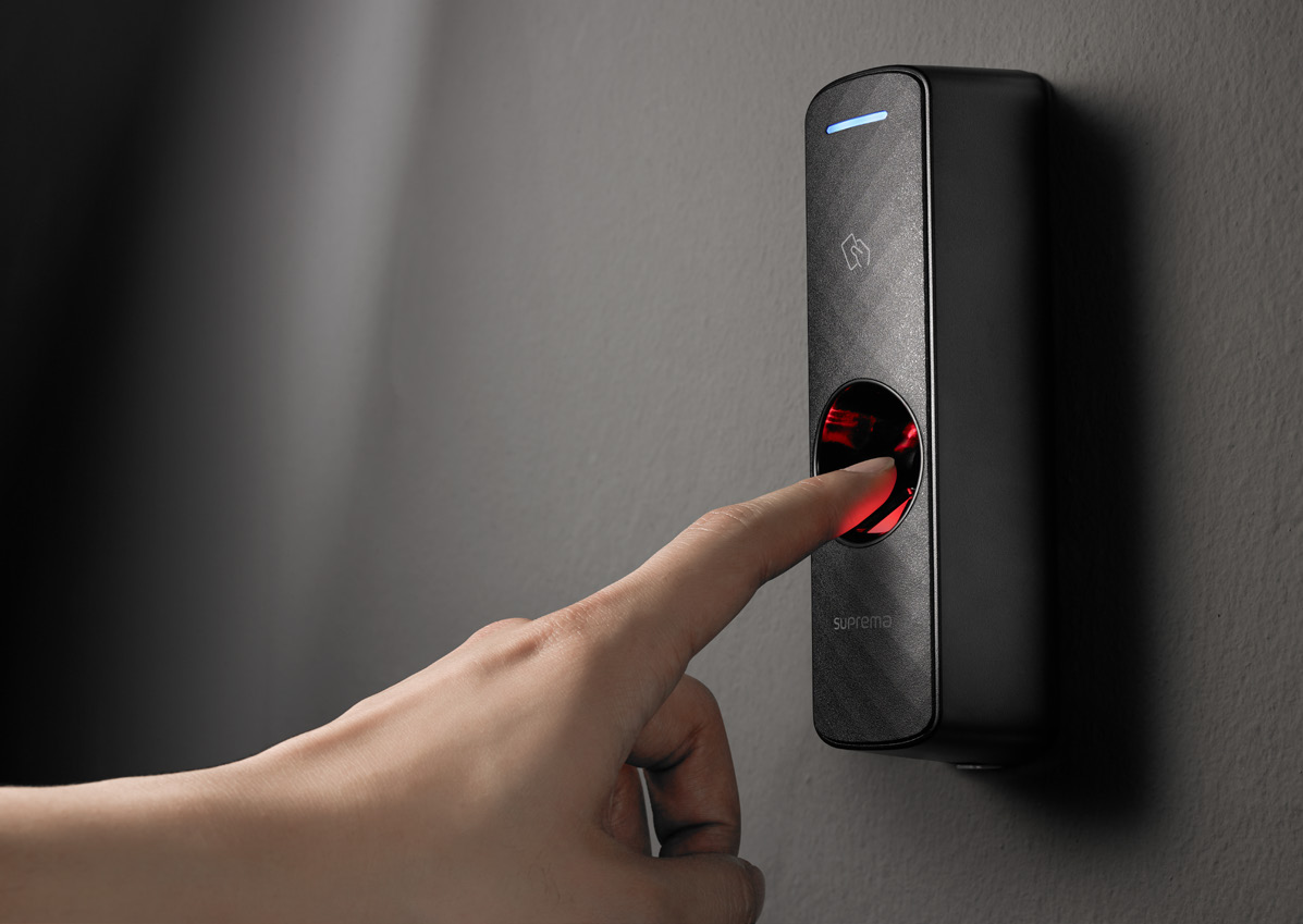 BioEntry P2 – Markovations